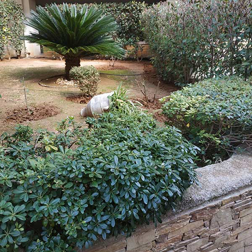 ΠΡΑΣΙΝΗ ΟΑΣΗ | Κατασκευή - Συντήρηση Κήπων - Δωρεάν Συμβουλευτική ...