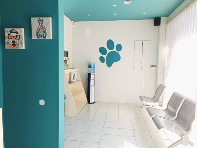 ANIMAL DERMATOLOGY | Ιατρείο Ζώων Συντροφιάς - Δερματολογικό ...