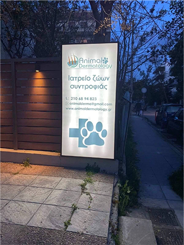 ANIMAL DERMATOLOGY | Ιατρείο Ζώων Συντροφιάς - Δερματολογικό ...