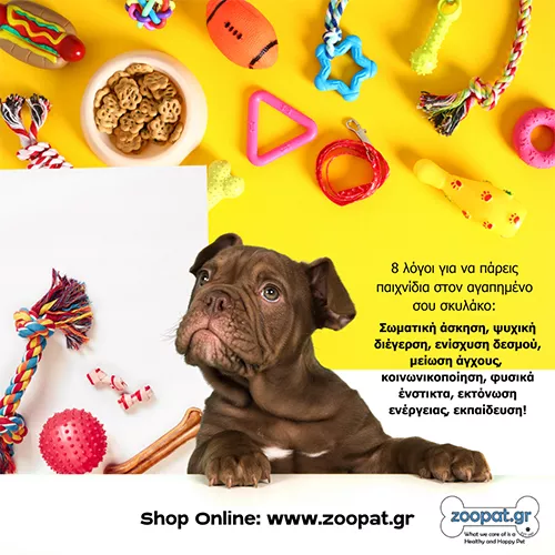 ZOOPAT.GR - ΠΑΤΜΑΝΙΔΗΣ ΓΕΩΡΓΙΟΣ | Pet Shop με Super Προσφορές ...