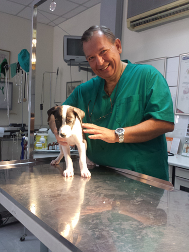 ΜΙΧΟΠΟΥΛΟΣ Μ. ΑΠΟΣΤΟΛΟΣ DR. – VETPETCLINIC - Φωτογραφίες | Κτηνιατρείο ...
