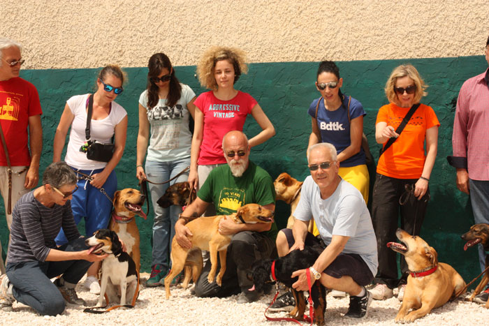 ΕΛΛΗΝΙΚΟ ΚΕΝΤΡΟ ΕΚΠΑΙΔΕΥΣΗΣ ΣΚΥΛΩΝ | Εκπαίδευση Σκύλων για Αρμονική ...