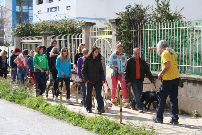 ΕΛΛΗΝΙΚΟ ΚΕΝΤΡΟ ΕΚΠΑΙΔΕΥΣΗΣ ΣΚΥΛΩΝ | Εκπαίδευση Σκύλων για Αρμονική ...