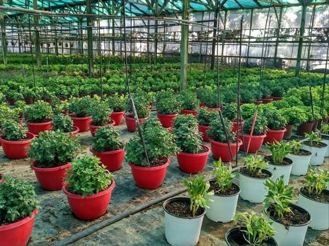 GREENWORKS - ΒΟΥΤΣΙΑ ΜΑΡΙΑ - ΒΟΥΤΣΙΑΣ ΣΩΤΗΡΗΣ | Γεωπόνοι - Κατασκευή ...