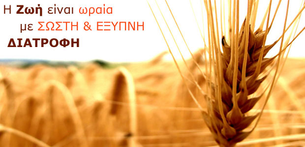 ΣΤΑΜΟΥ Ι. ΑΙΚΑΤΕΡΙΝΗ | Κλινικός Διαιτολόγος - Διατροφολόγος ...