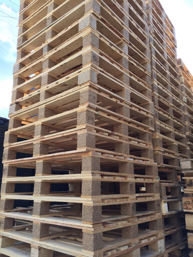 TSELEPIS PALLETS | Παλέτες - Ξύλινες Παλέτες - Πλαστικές Παλέτες ...